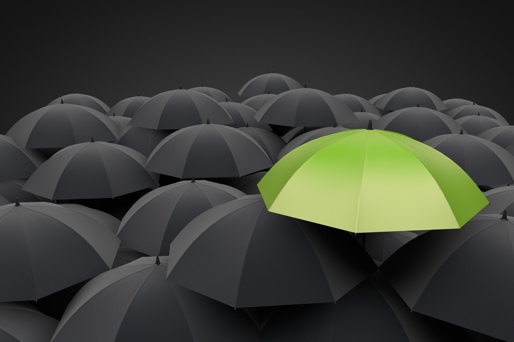 Catastrophe Claims Adjuster | Aspen